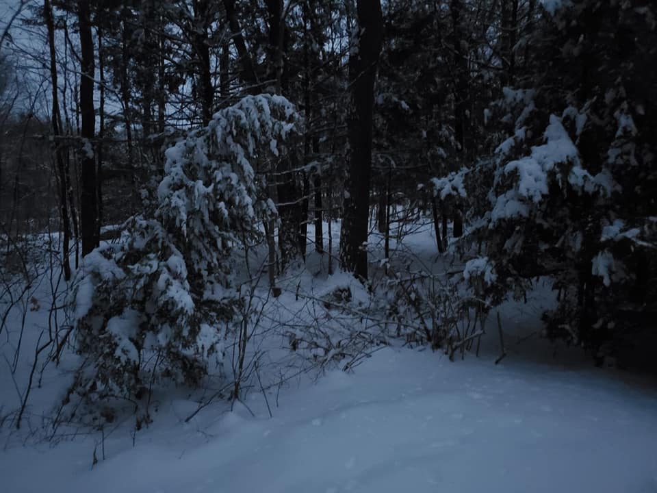 Top Community Engagers December 2020 - PTC Community